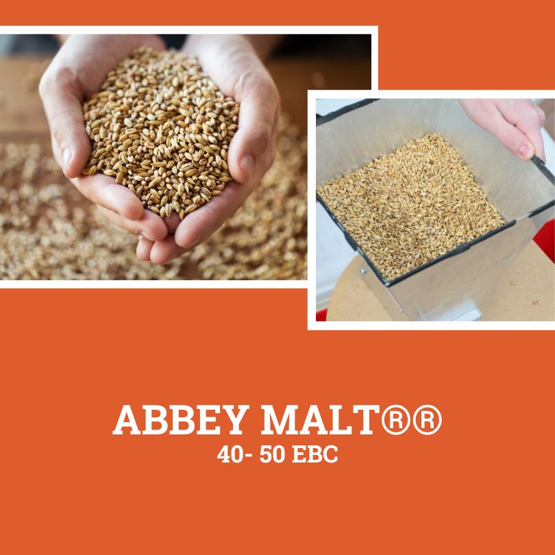 ABBEY MALT® - Hopfenlager.de