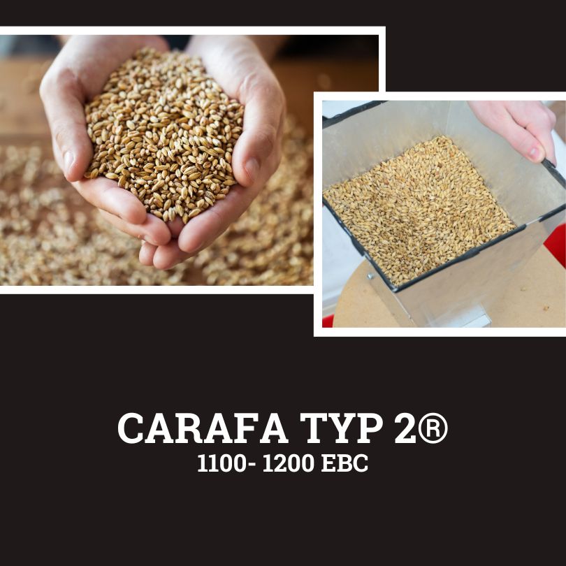 CARAFA® TYP 2 - Hopfenlager.de